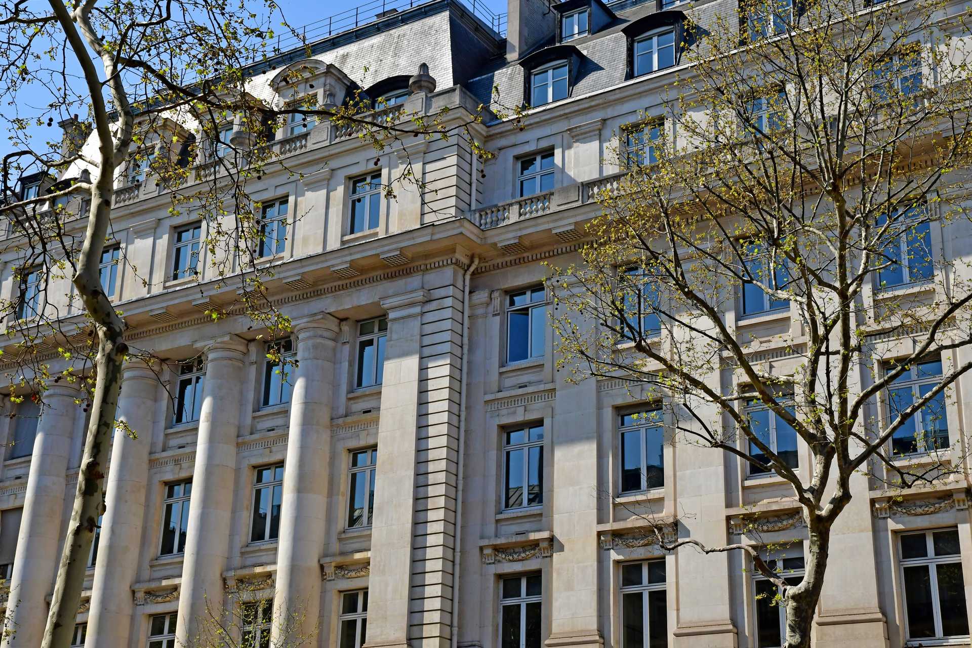 Orous Capital - Contact